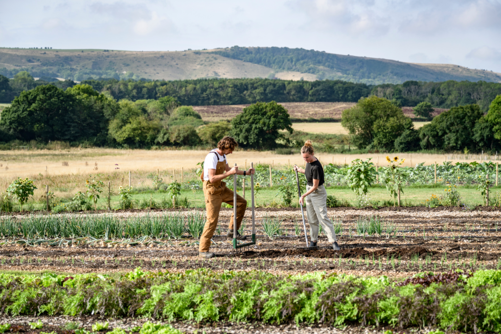 Poster: Sun Safety at Work Canada - Occupational Cancer Research Centre